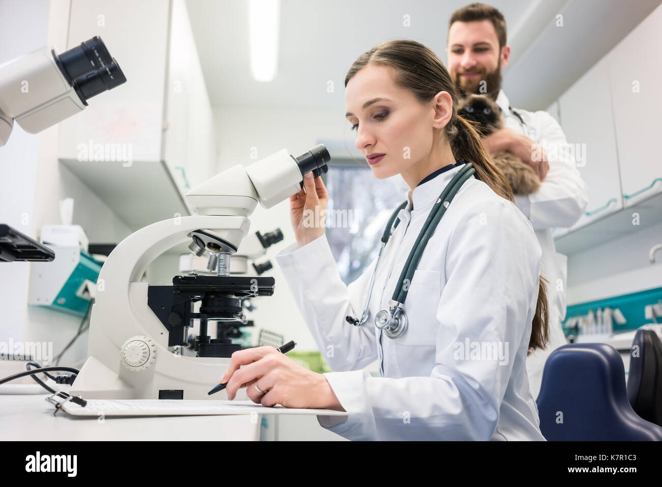 Vet and microscope hi-res stock photography and images - Alamy