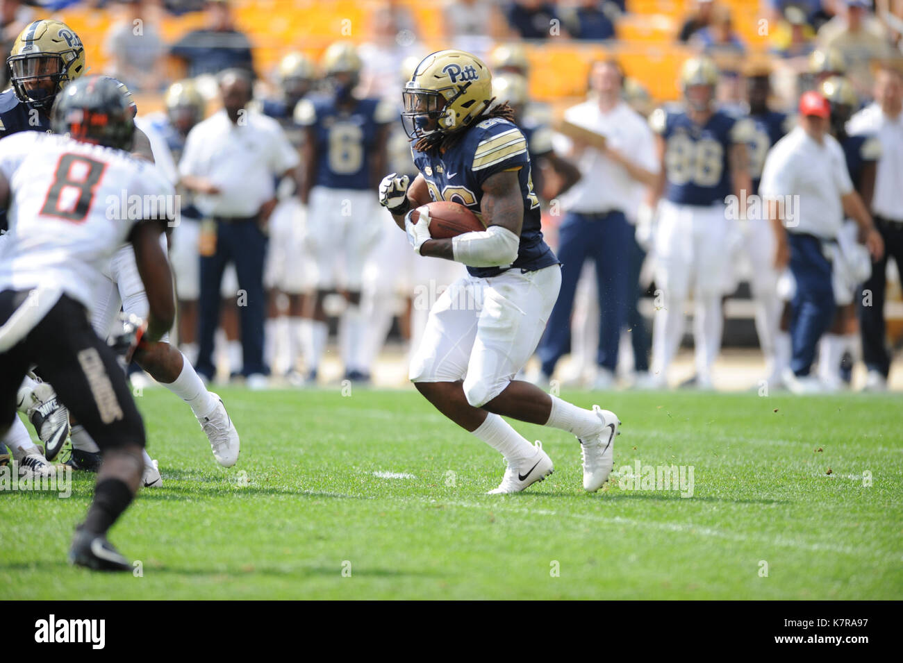 Chawntez moss hi-res stock photography and images - Alamy