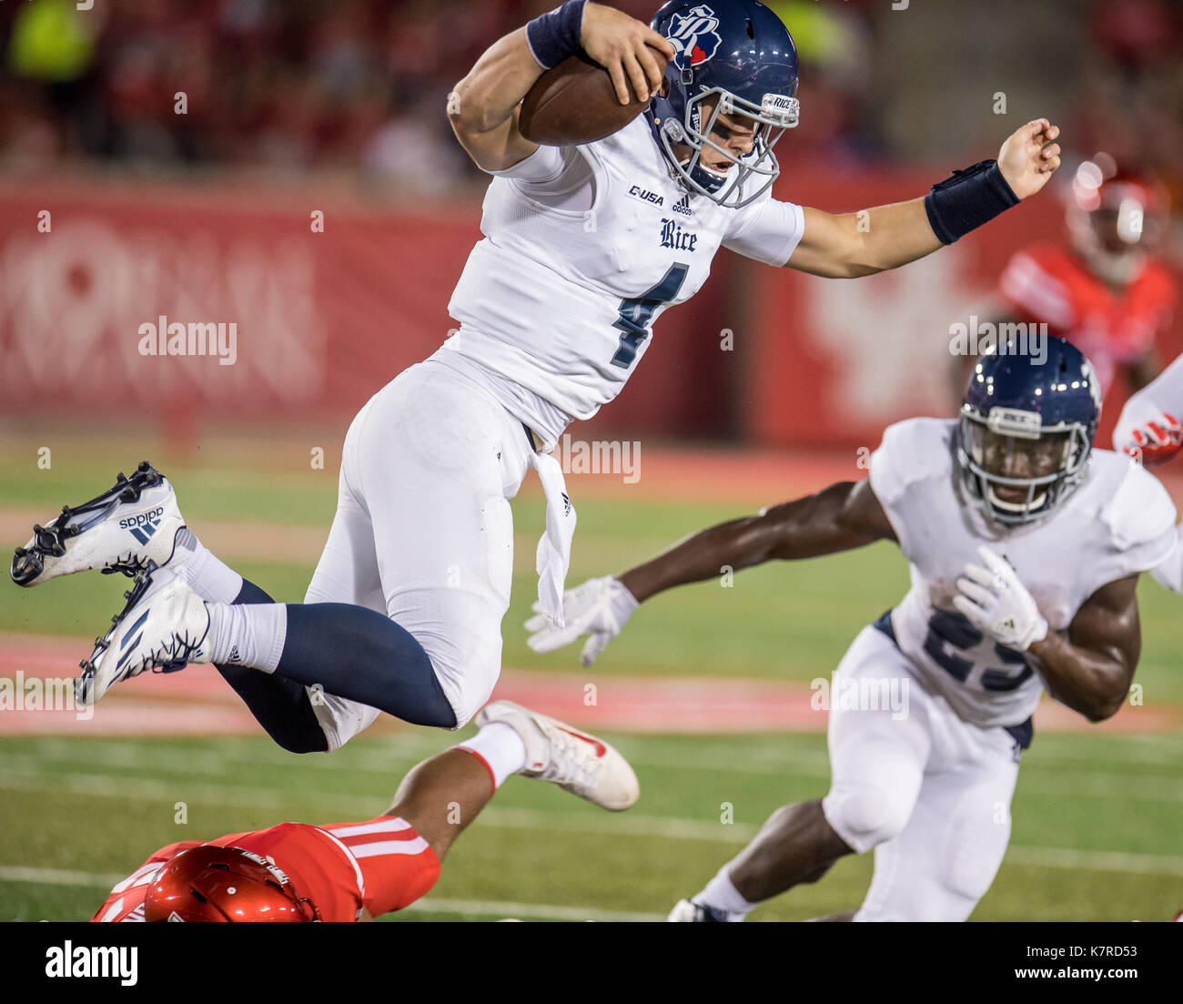 Csm rice hi-res stock photography and images - Alamy