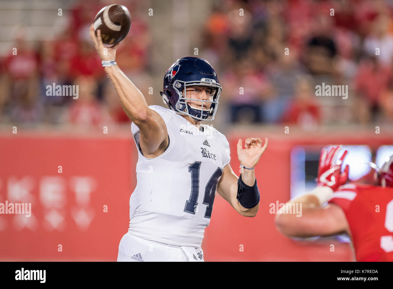 Csm rice hi-res stock photography and images - Alamy