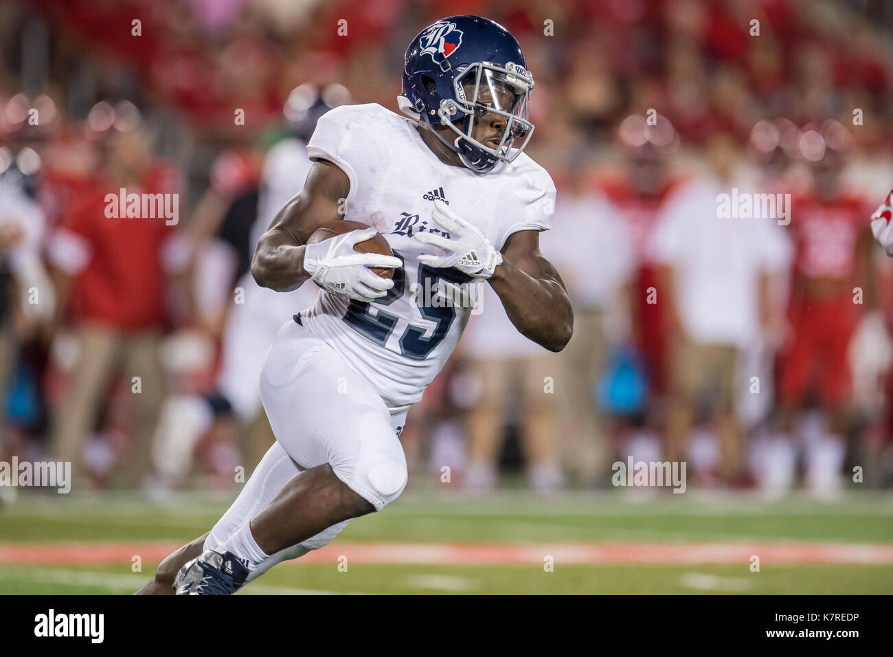 Csm rice hi-res stock photography and images - Alamy