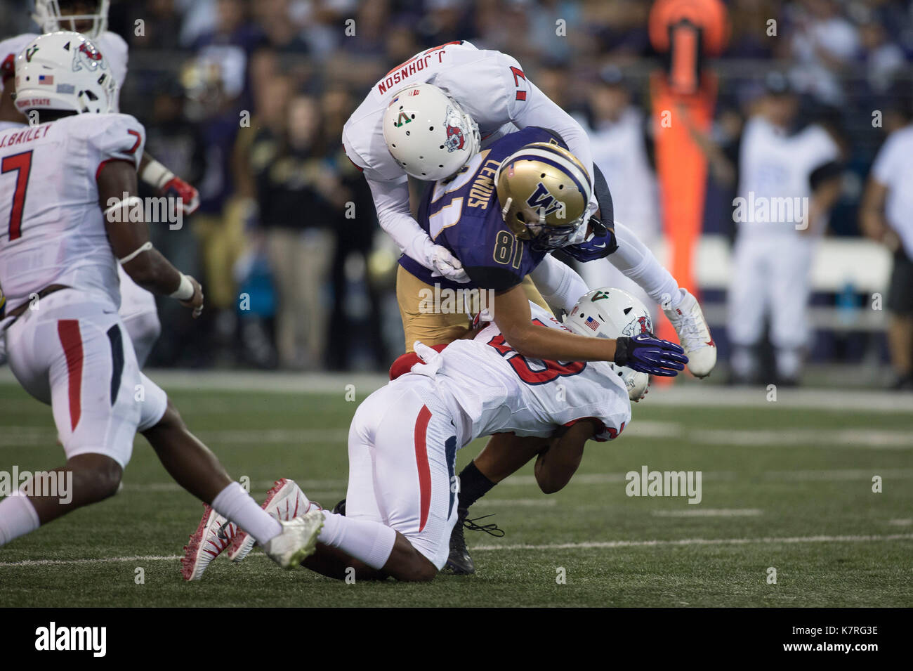Seattle, WA, USA. 16th Sep, 2017. UW receiver Brayden Lenius (81) gets ...