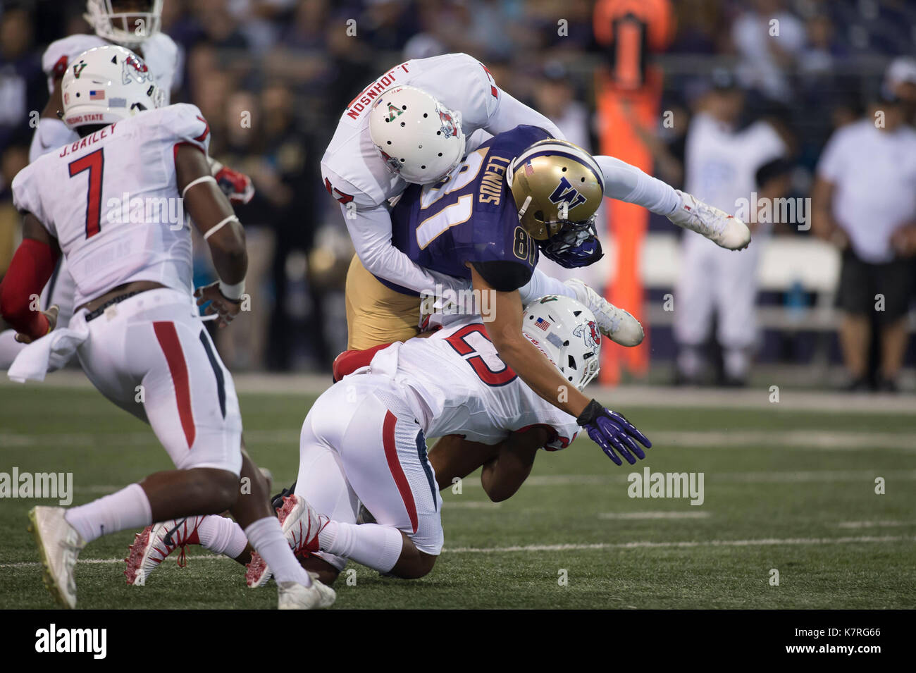 Seattle, WA, USA. 16th Sep, 2017. UW receiver Brayden Lenius (81) gets ...