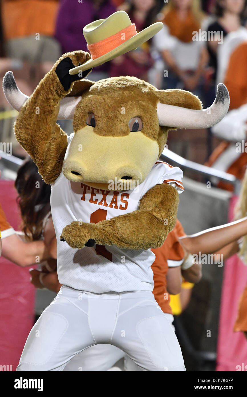 Texas longhorns mascot hi-res stock photography and images - Alamy