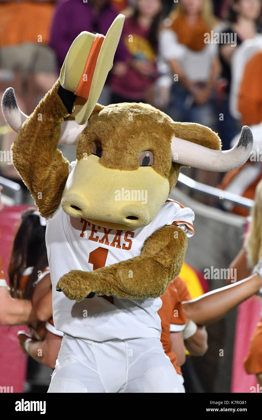 Texas longhorns mascot hi-res stock photography and images - Alamy