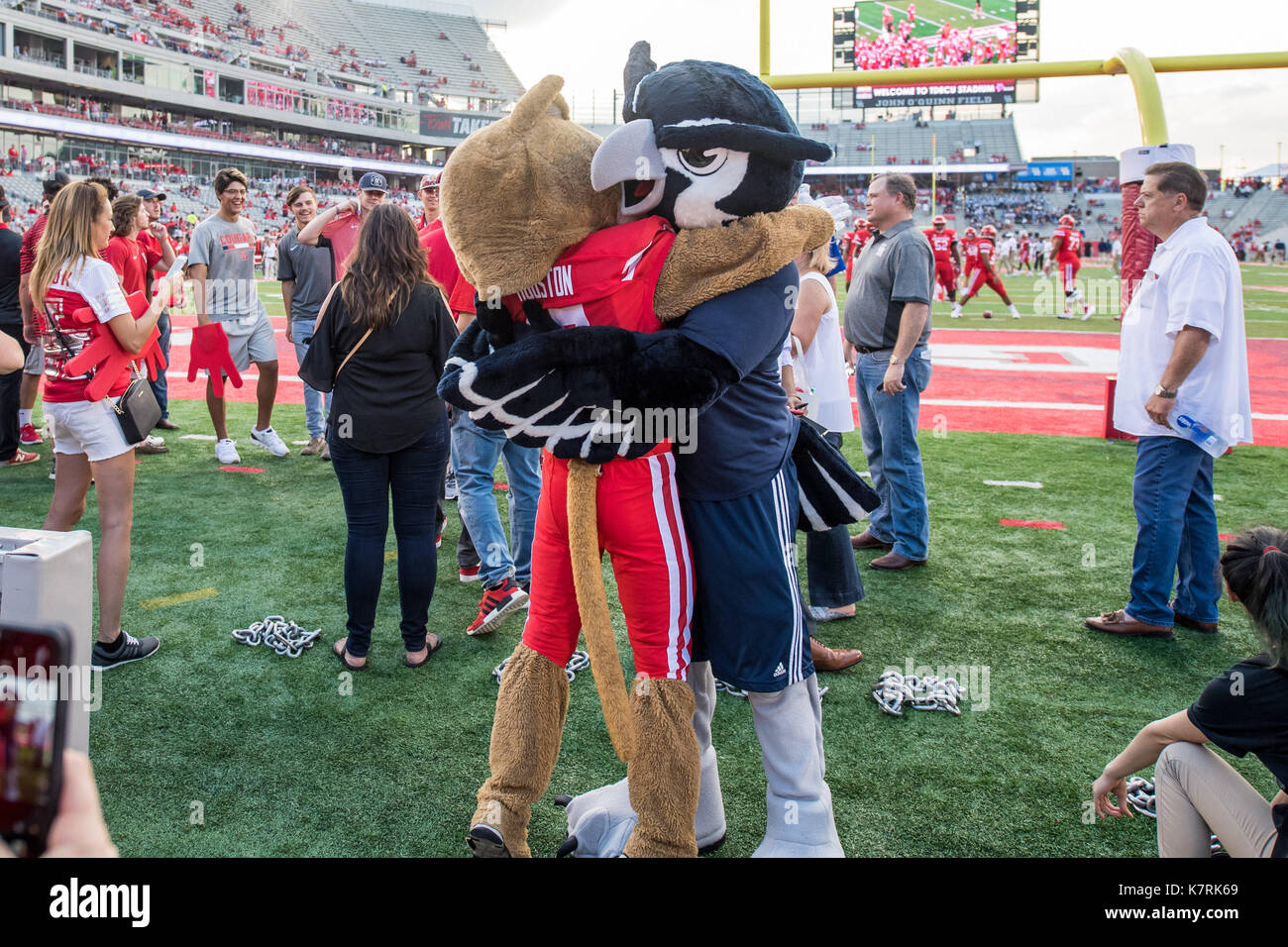 Owl hug hi-res stock photography and images - Alamy