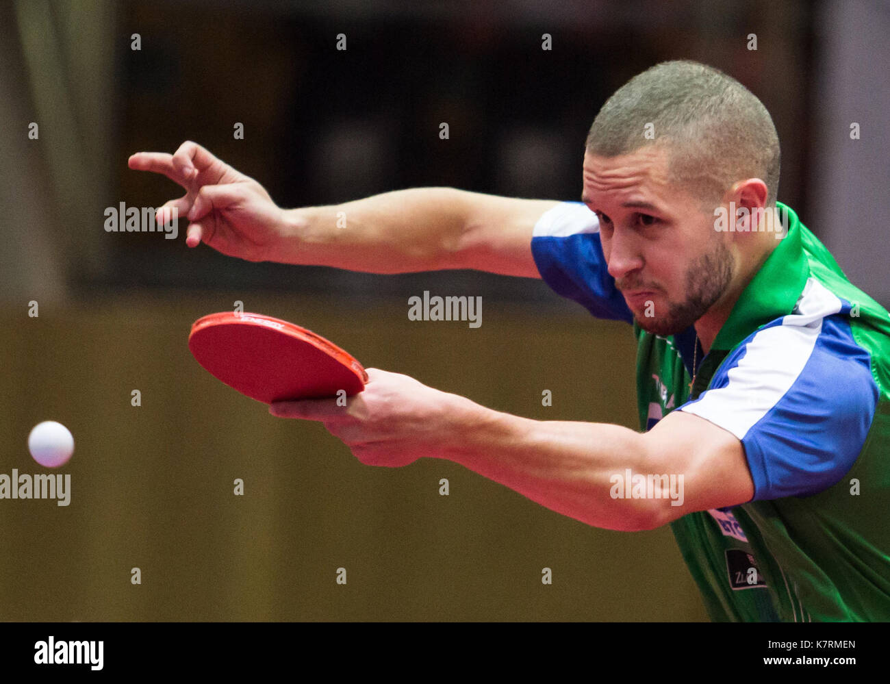 Slovenia's Jan Zibrat in action against Germany's Patrick Franziska ...