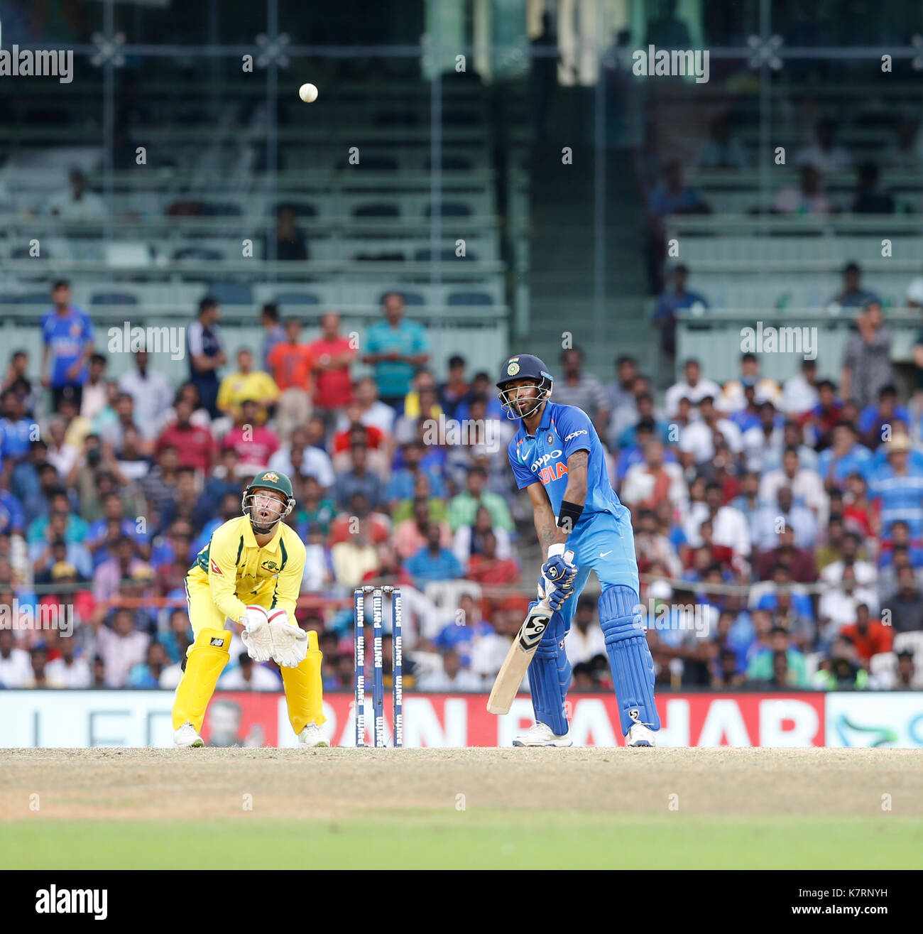 Pandia hi-res stock photography and images - Alamy