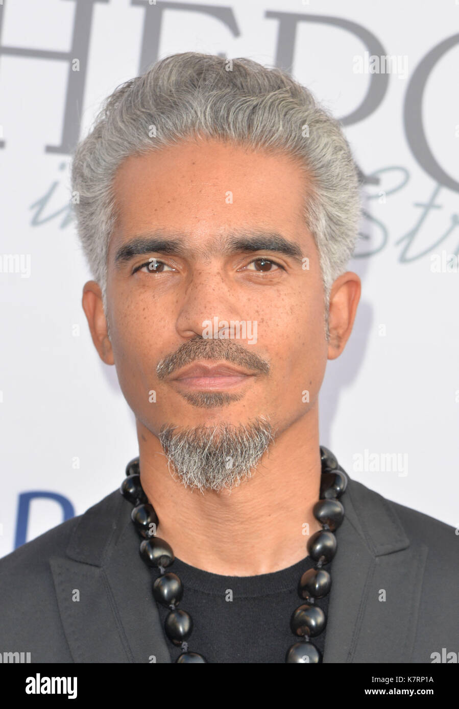 LOS ANGELES, CA- SEPT. 16: Sol Aponte at the 16th Annual Heroes in the ...