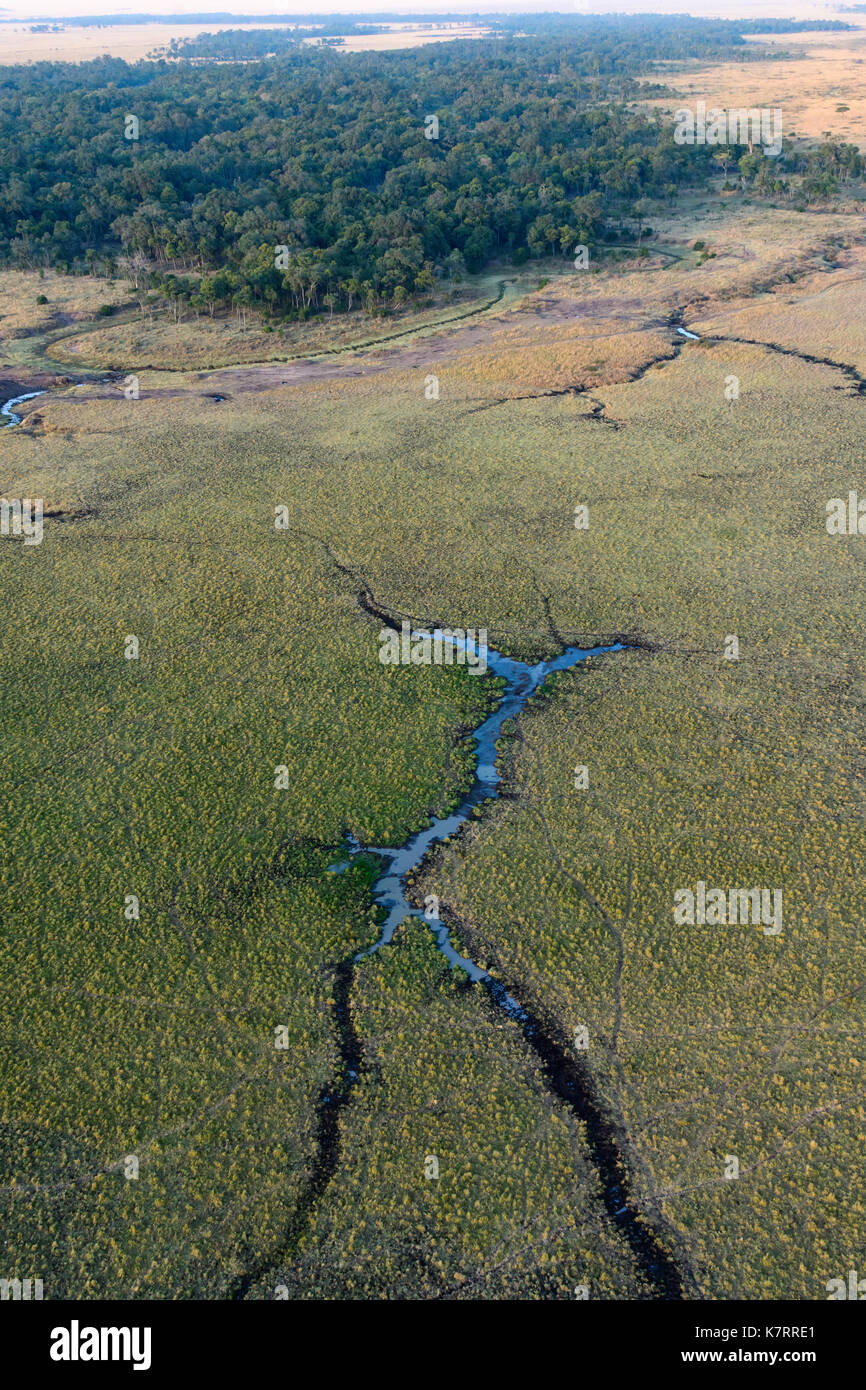 Masai Mara seen from a hot air balloon Stock Photo - Alamy