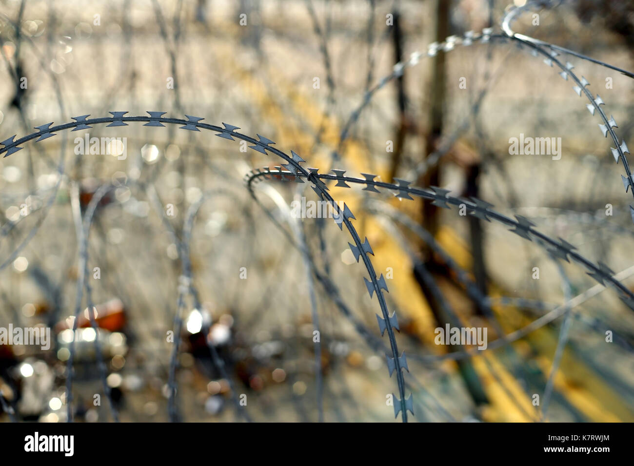 closeup of barbed tape or razor wire Stock Photo - Alamy