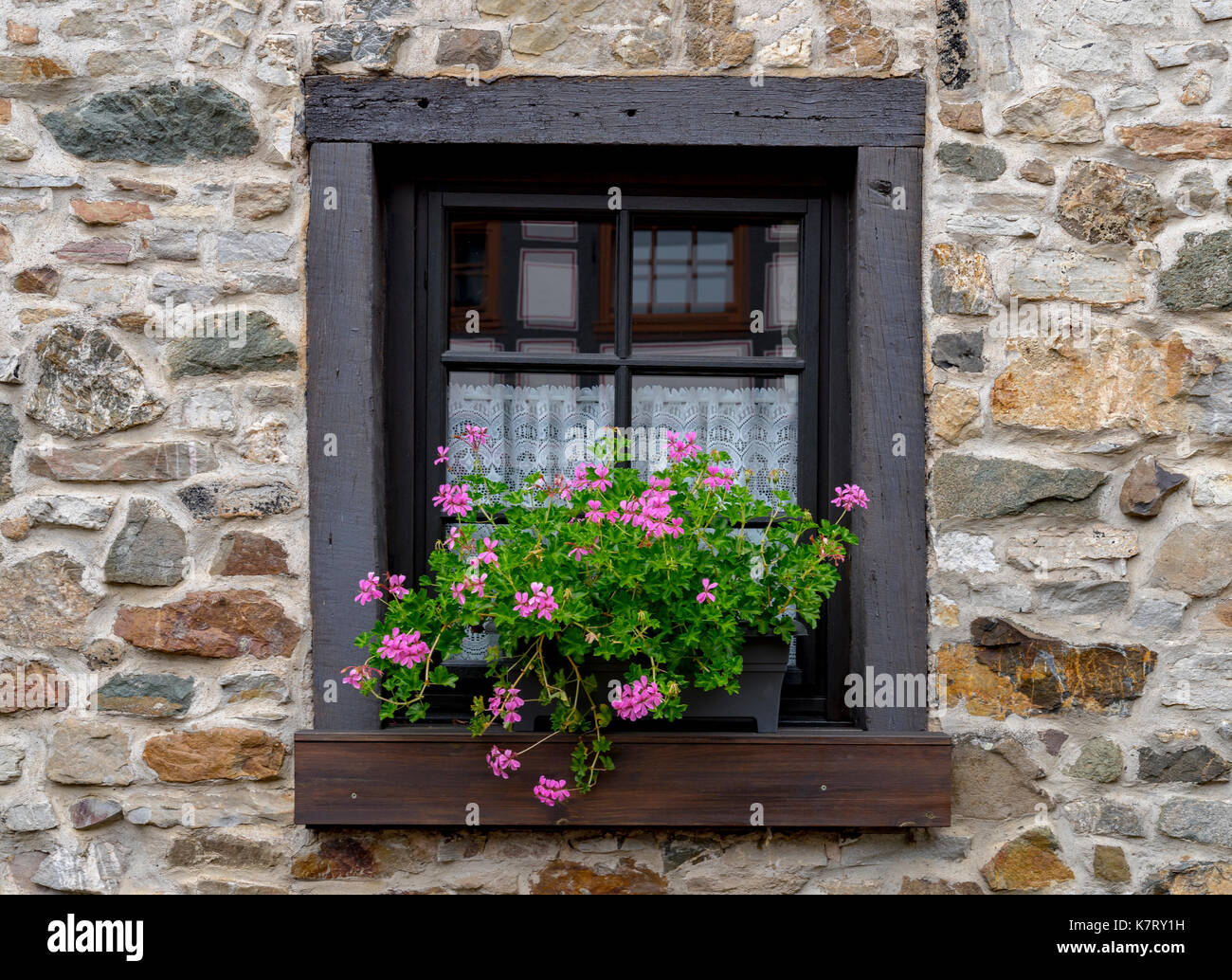 Window with purple flowers in an ancient house wall Stock Photo - Alamy