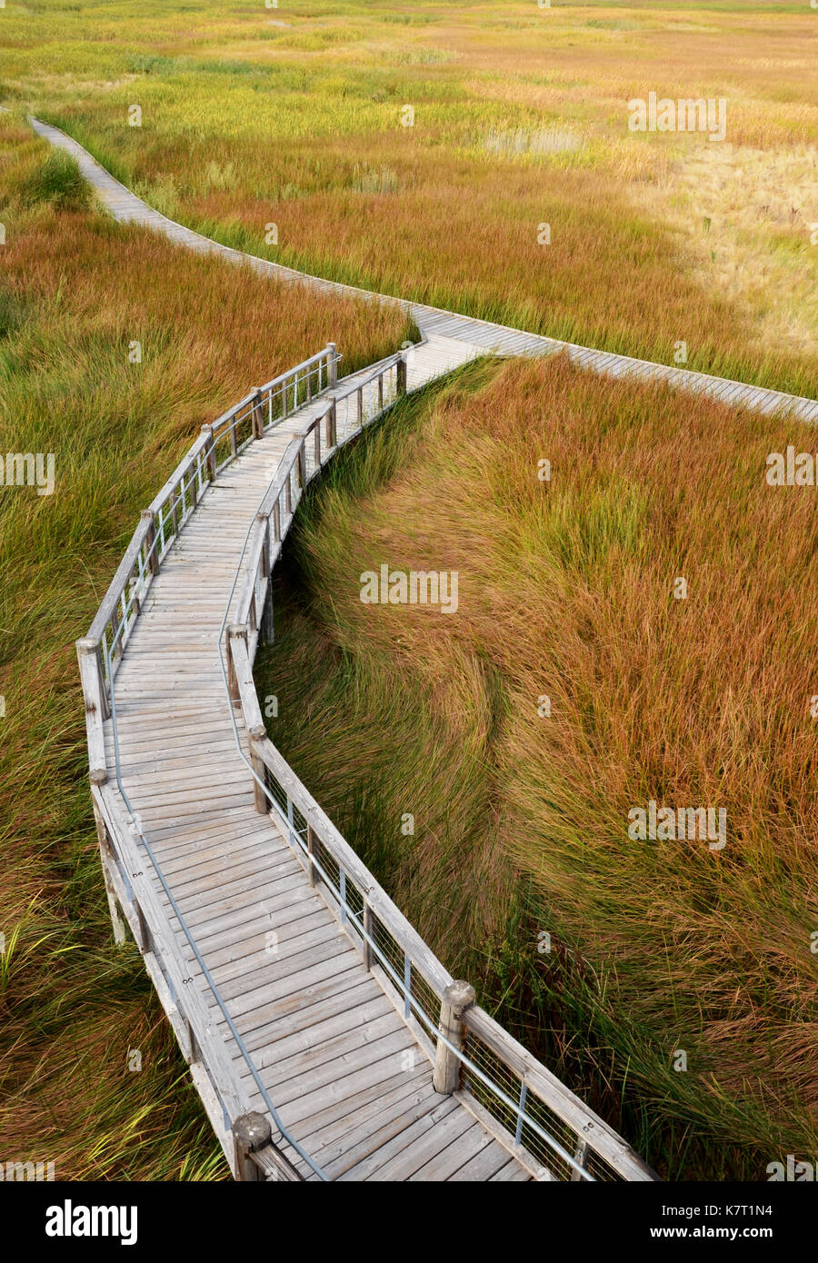 Great marsh park hi-res stock photography and images - Alamy