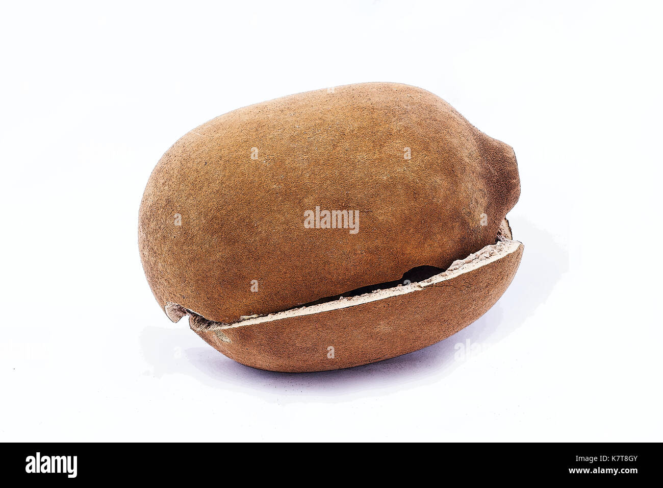 Cupuacu theobroma Cut Out Stock Images & Pictures - Alamy