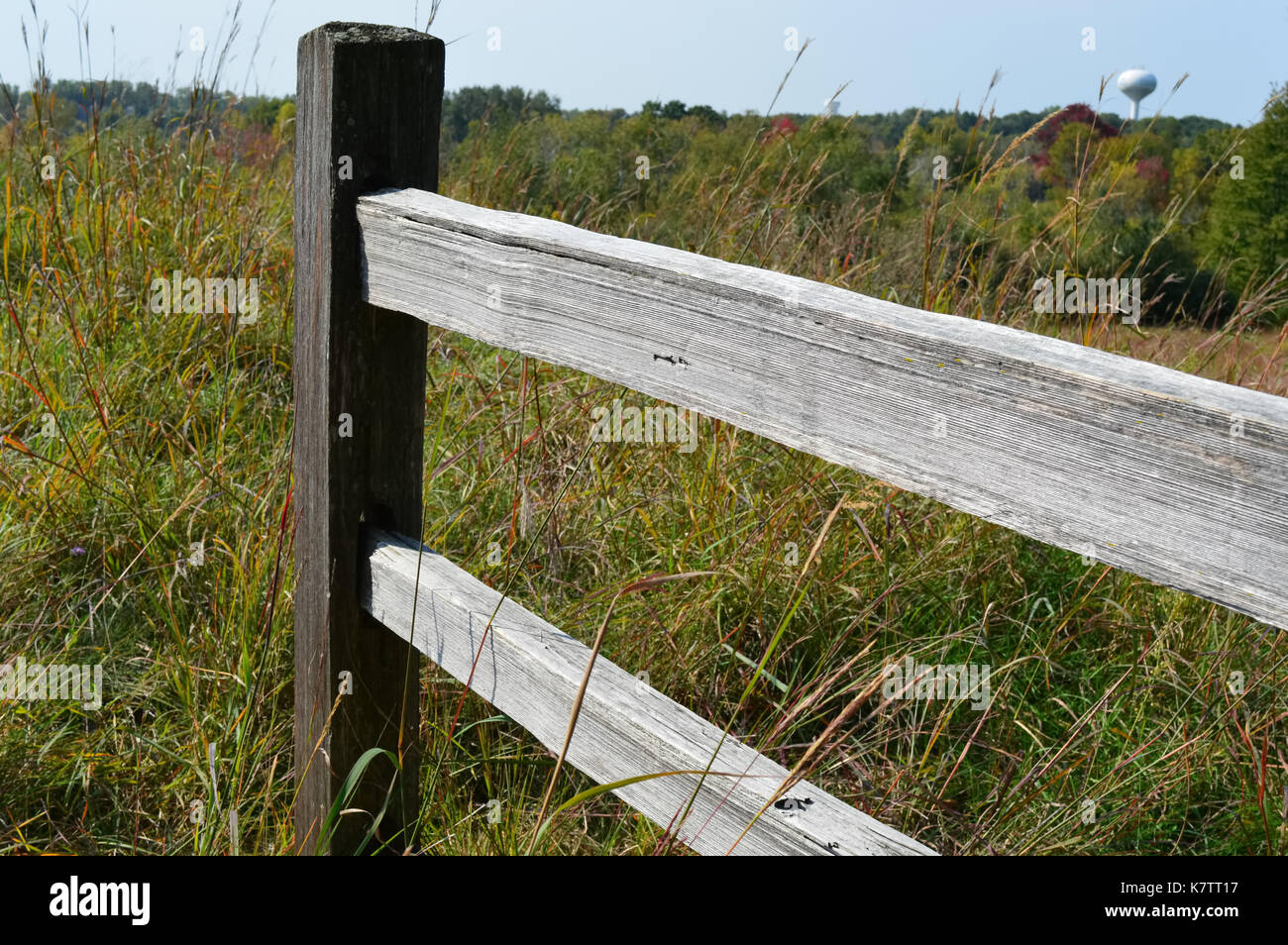 Plants growing fence hi-res stock photography and images - Alamy