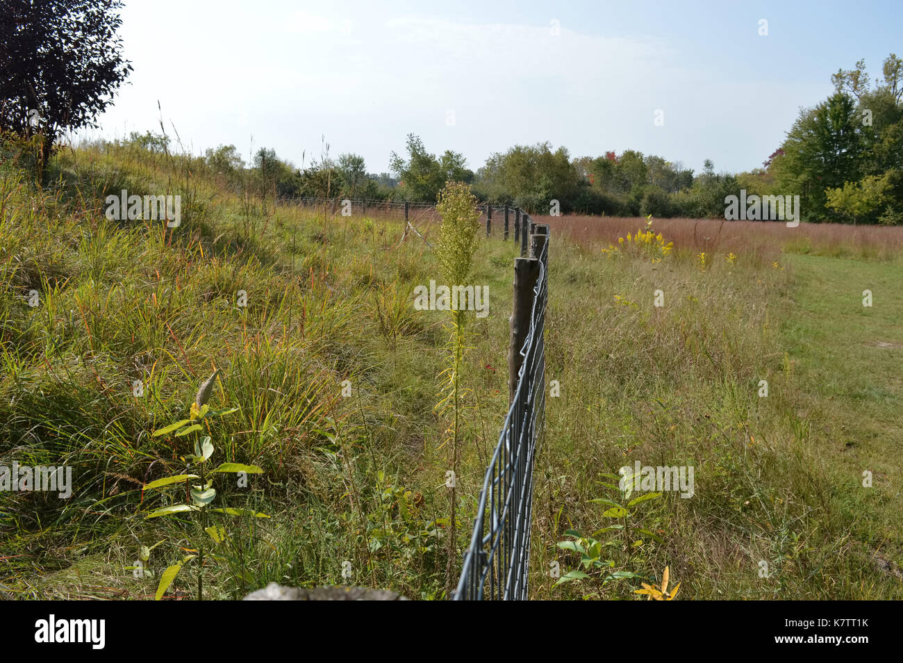 Fence in the prairie landscape during autumn Stock Photo - Alamy