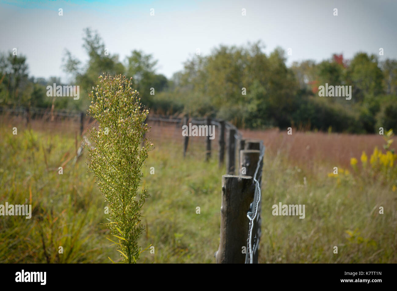 Fence in the prairie landscape during autumn Stock Photo - Alamy