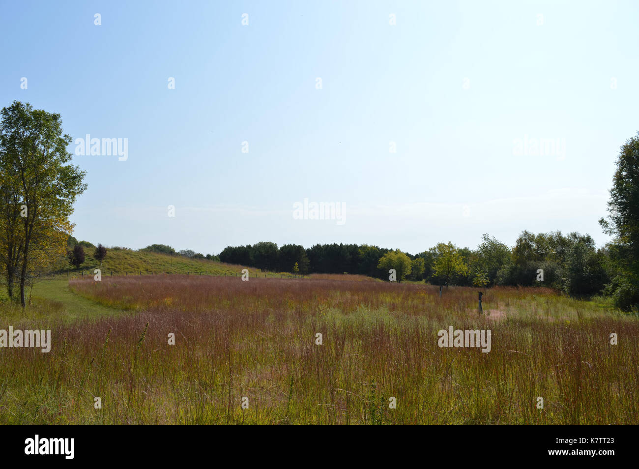 Tall grass prairie habitat hi-res stock photography and images - Alamy
