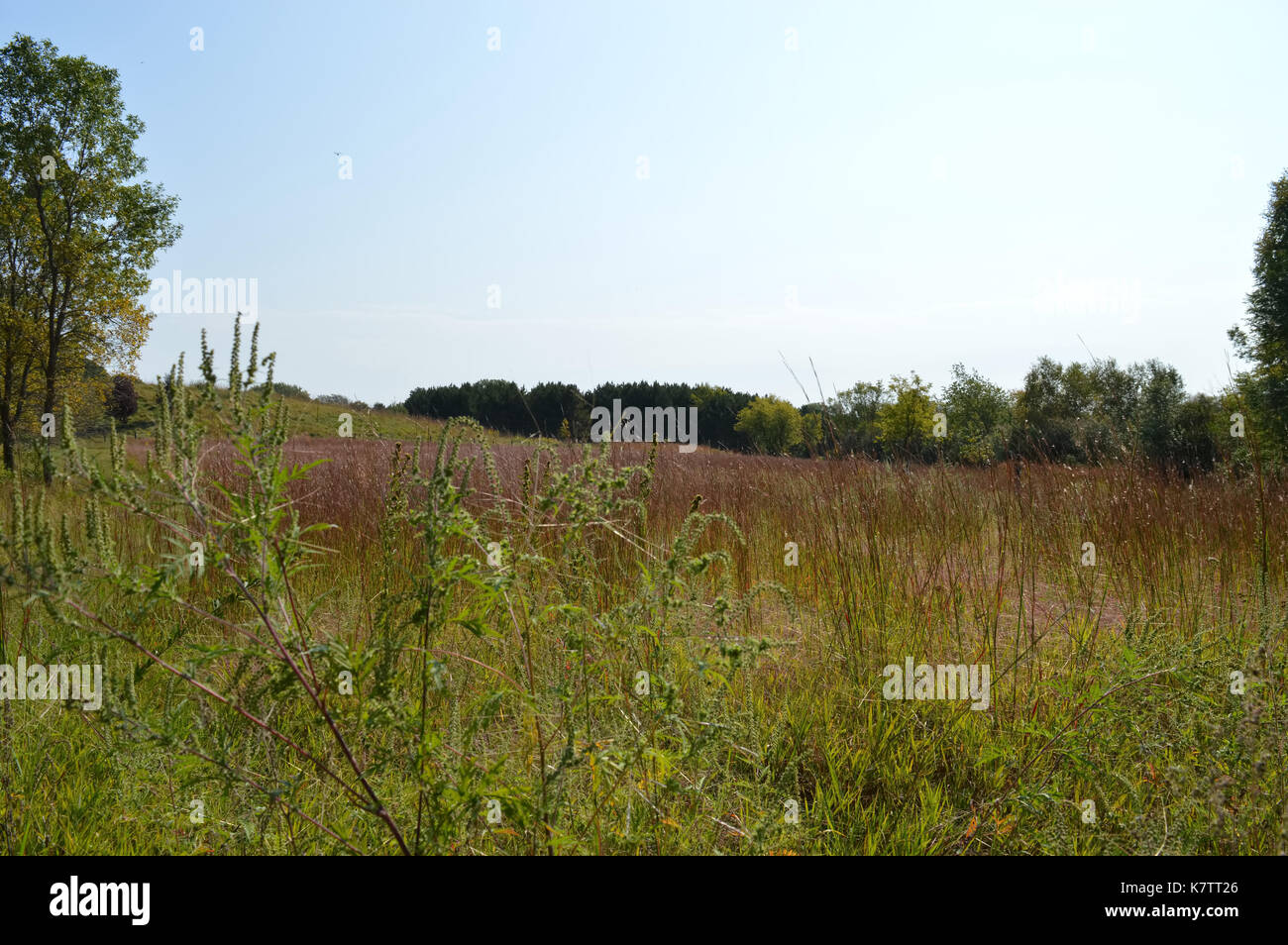 Prairie landscape in autumn Stock Photo - Alamy