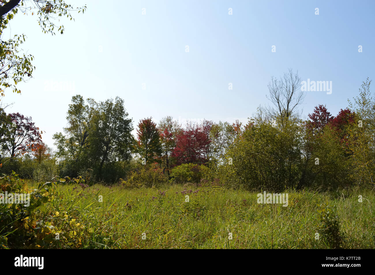Prairie landscape in autumn Stock Photo - Alamy