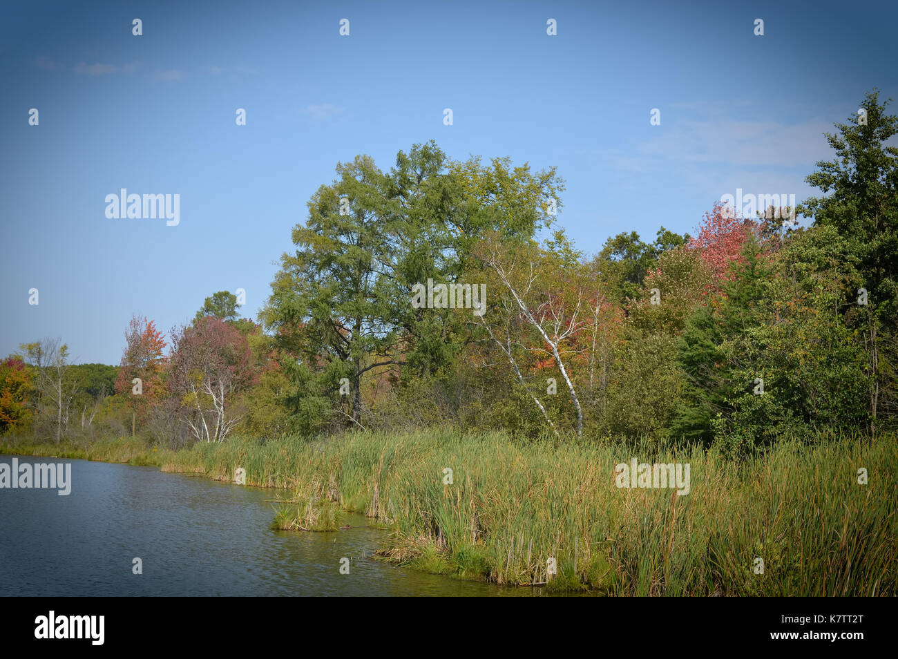 Lake shoreline during autumn Stock Photo - Alamy