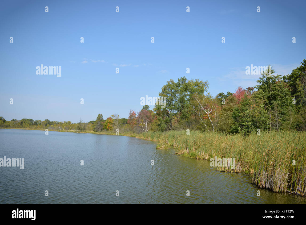Lake shoreline during autumn Stock Photo - Alamy