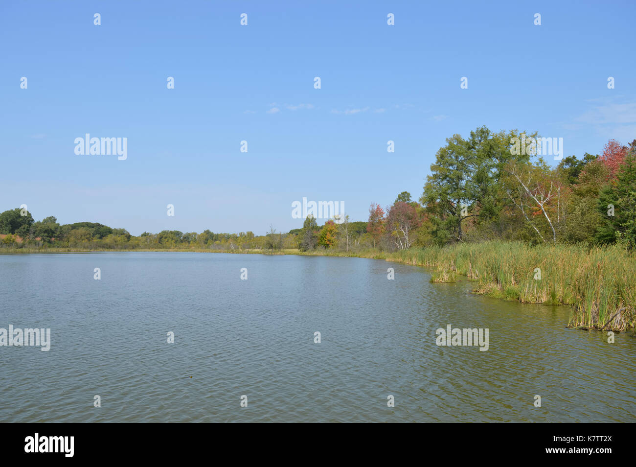 Lake shoreline during autumn Stock Photo - Alamy
