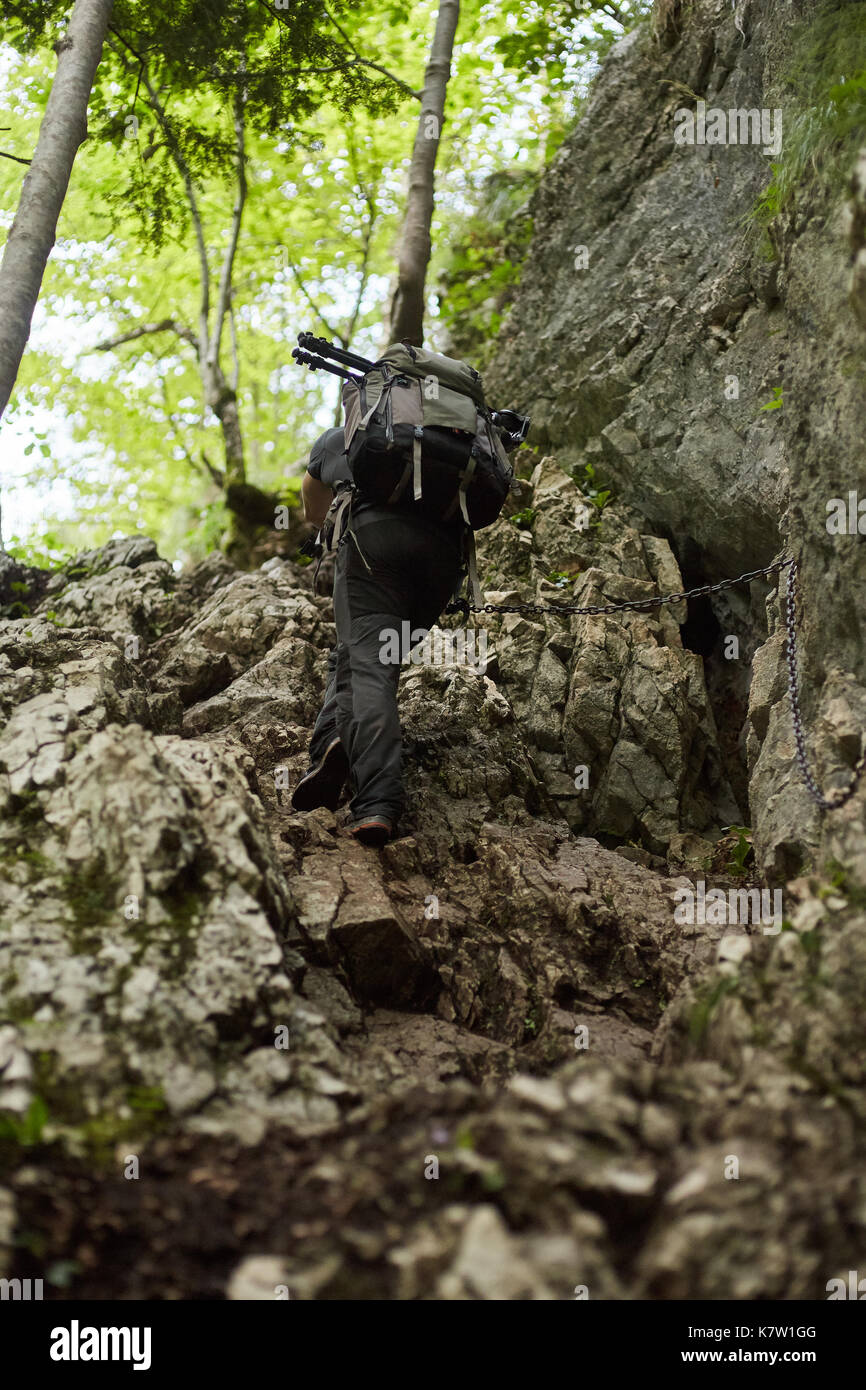 Man hiker climbing on safety chains on a difficult trail Stock Photo ...