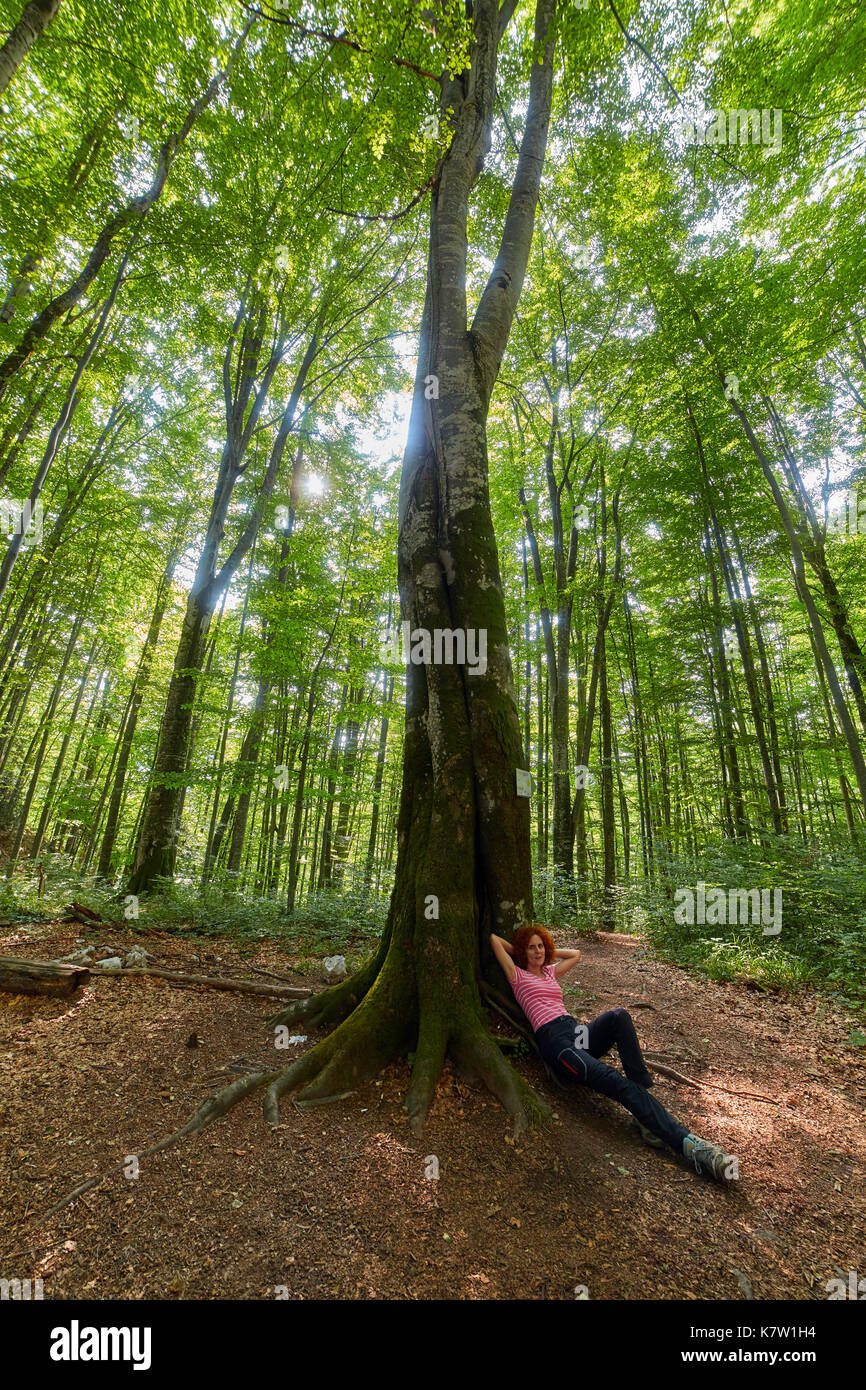 One woman sit against tree hi-res stock photography and images - Alamy