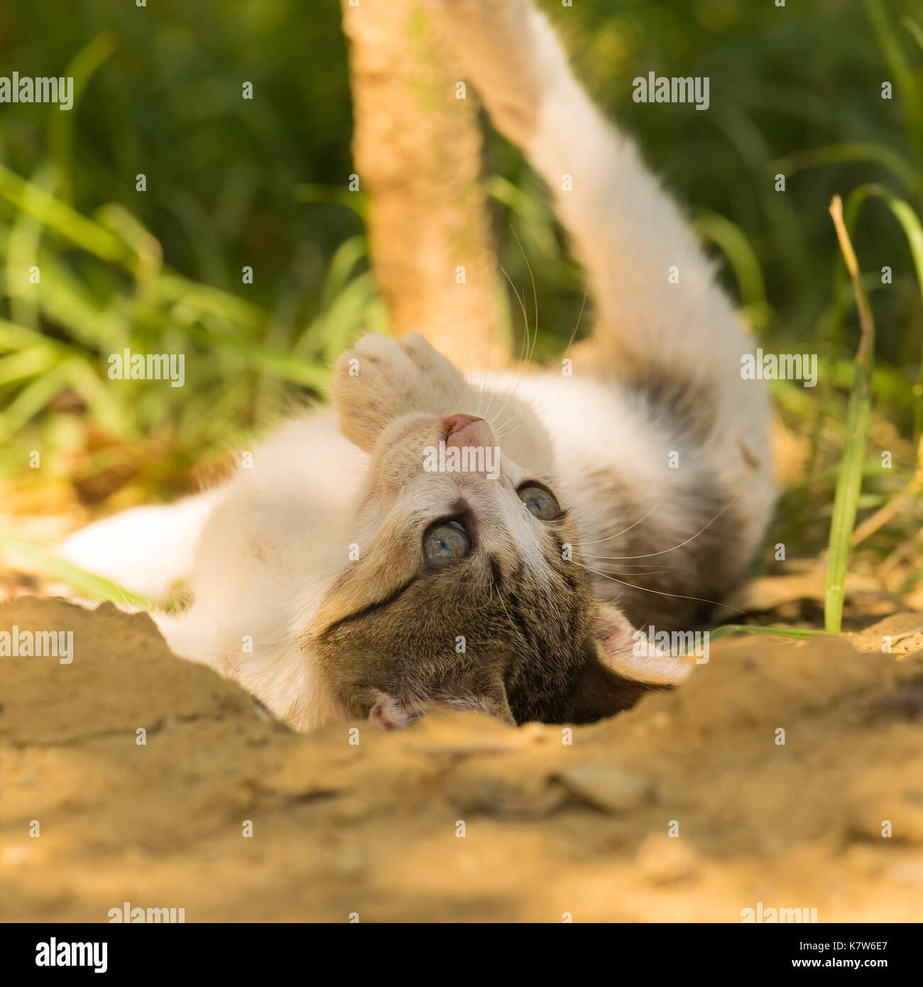 Posing backwards hi-res stock photography and images - Alamy