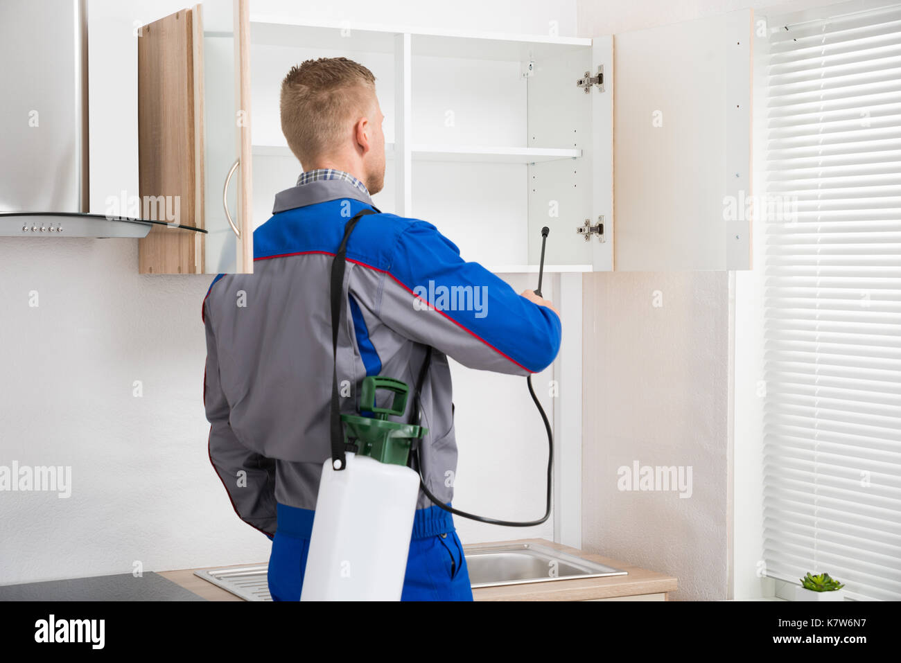 Cockroach kitchen hi-res stock photography and images - Alamy