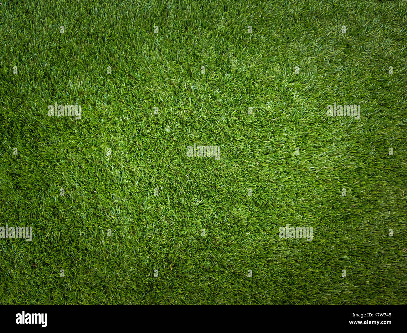 Green Grass texture top view with vignette Stock Photo - Alamy