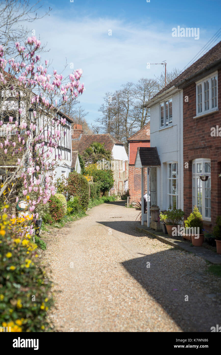 Streets roads english flowers hi-res stock photography and images - Alamy