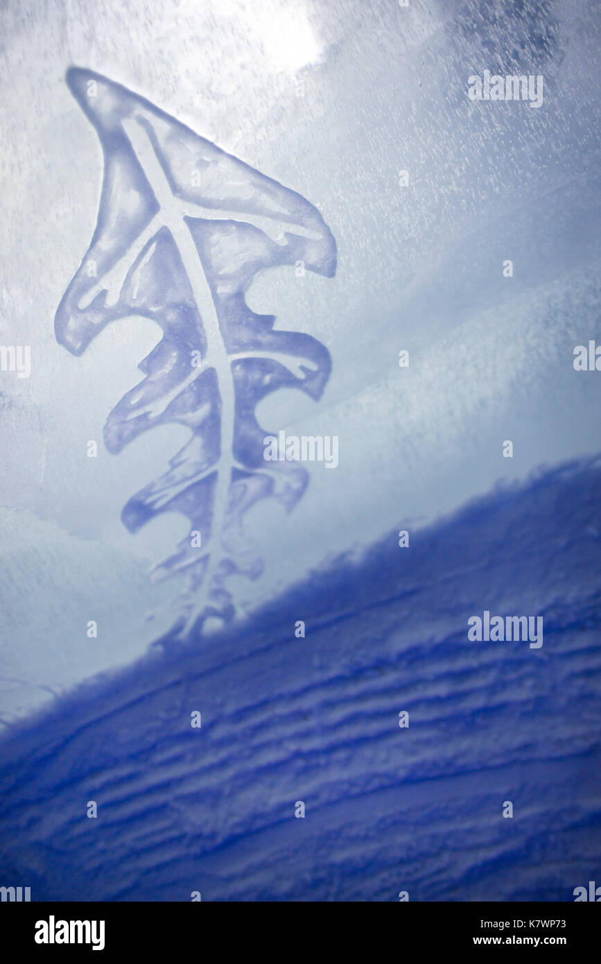 Ice carving of a leaf pattern Stock Photo - Alamy