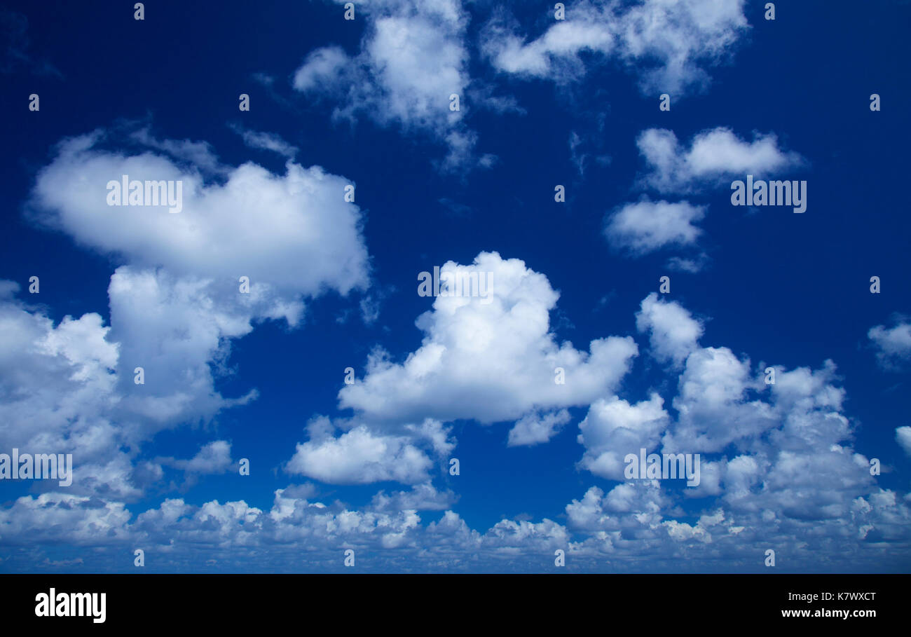 blue sky with many small fluffy cumulus clouds Stock Photo - Alamy