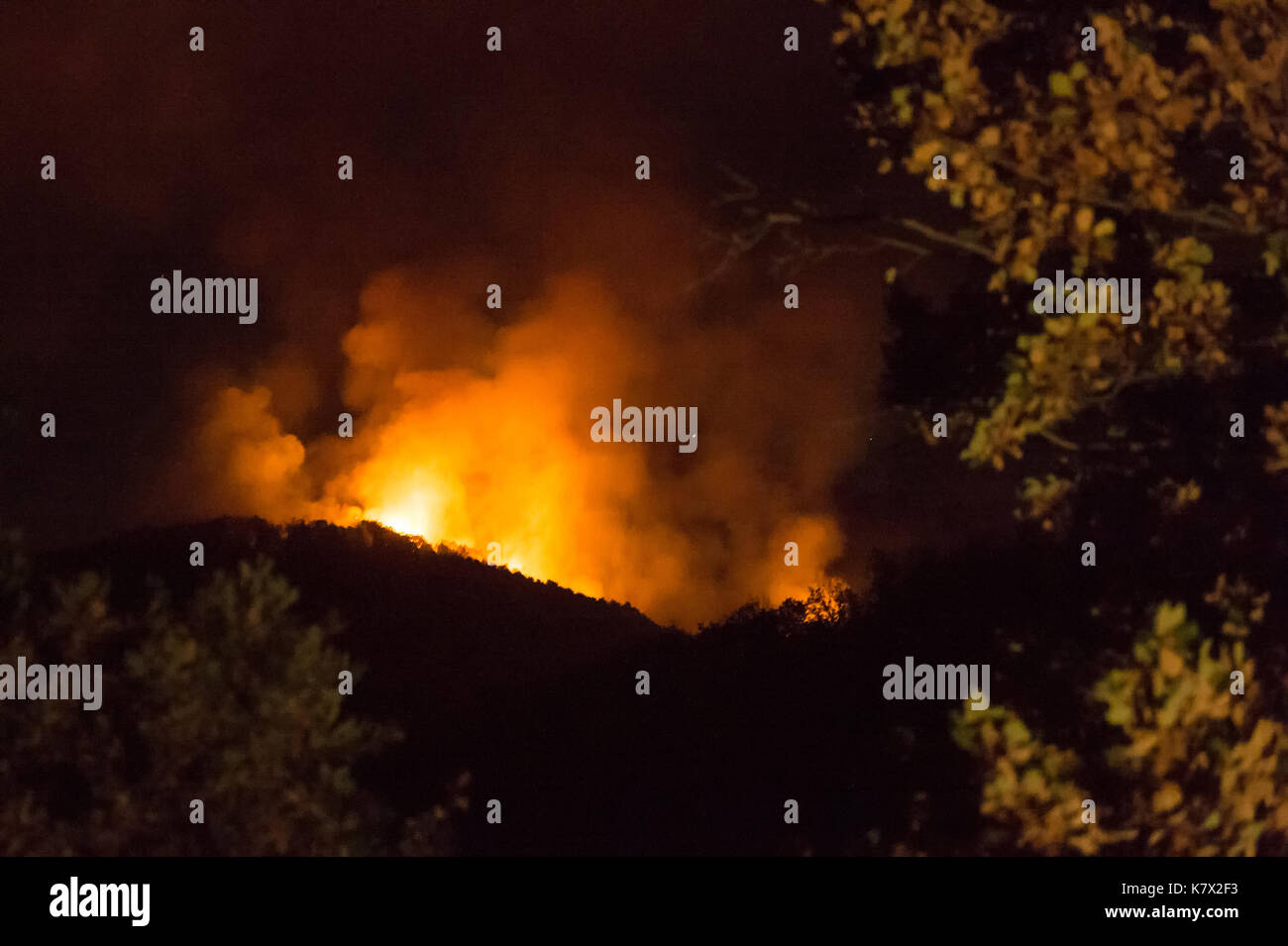 Fire destroy thousands of acres of woodland between the municipalities ...