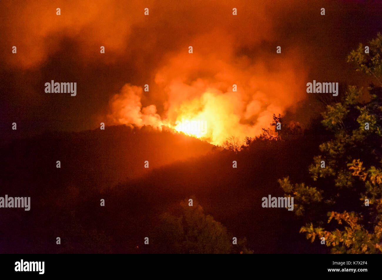 Fire destroy thousands of acres of woodland between the municipalities ...