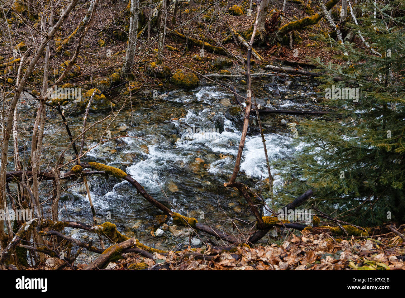 Small waterfall among forest hi-res stock photography and images - Alamy
