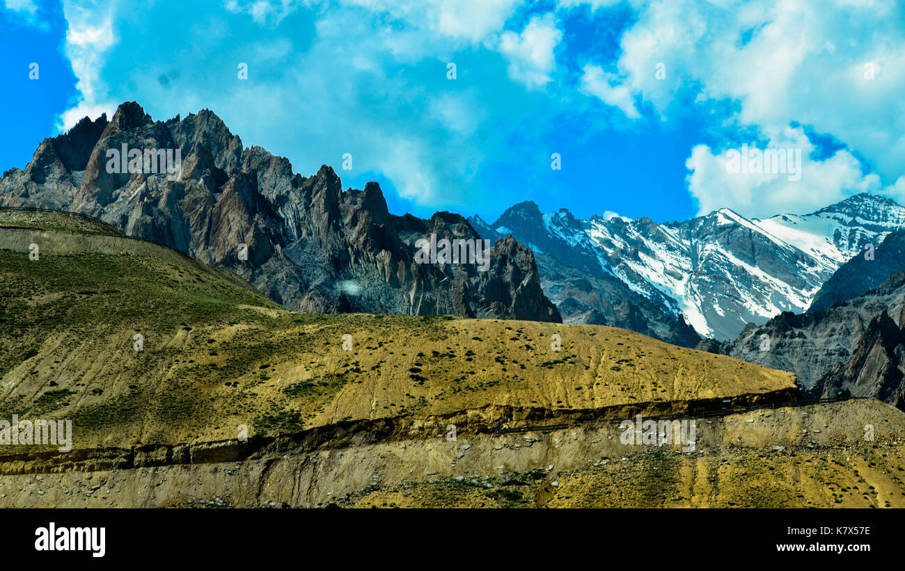 Tree cutting india hi-res stock photography and images - Alamy