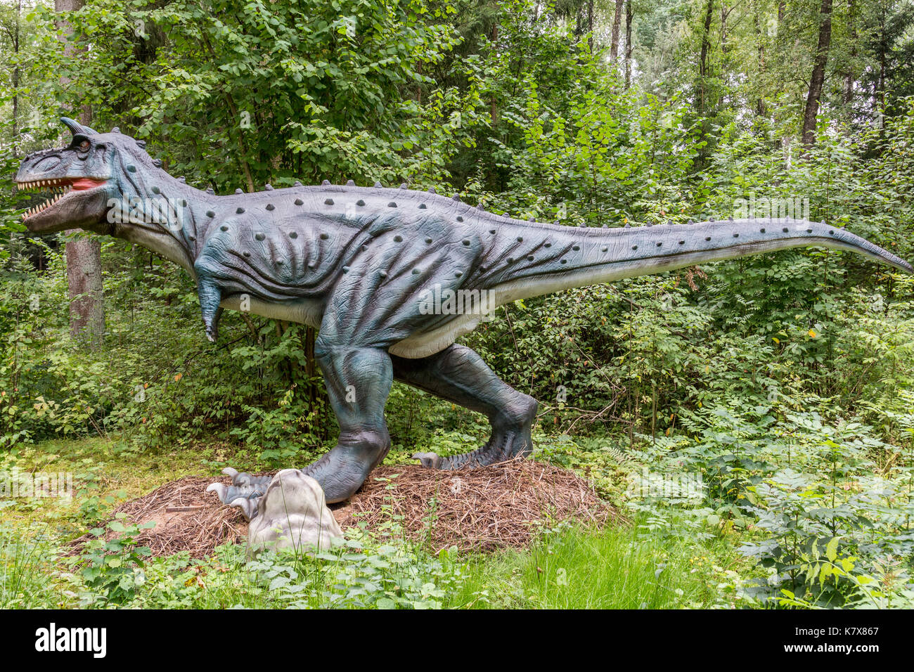 Hunt and roaring of prehistoric predator dinosaur Stock Photo - Alamy