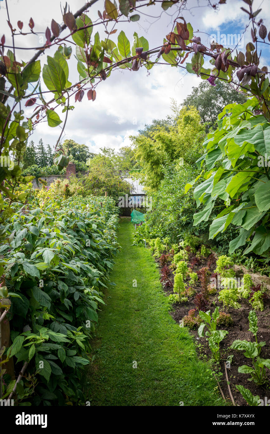 The English walled garden of Quex House near Birchington-on-Sea in Kent ...