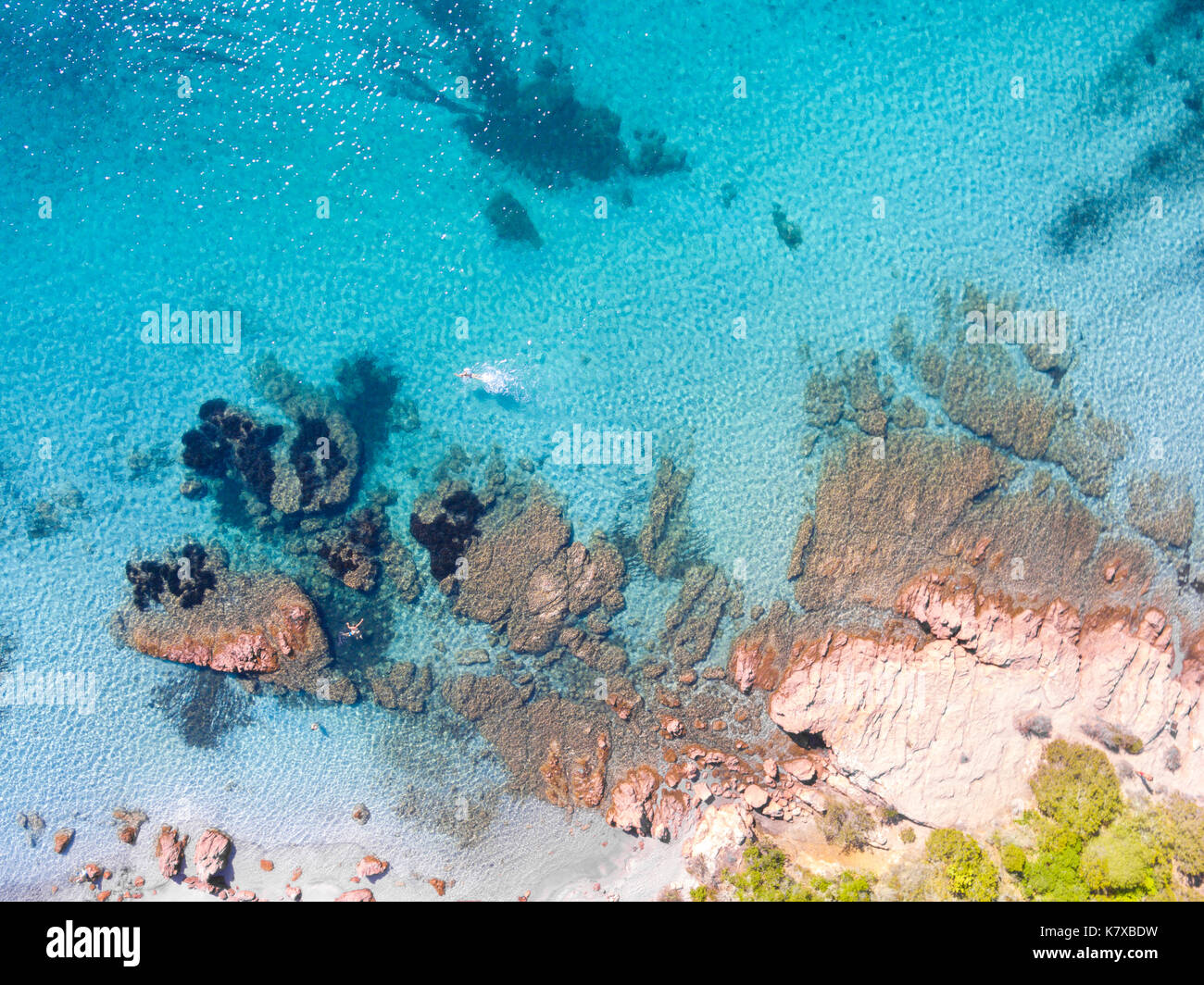 Top down view of two people swimming in Rondinara Bay Corsica Stock ...