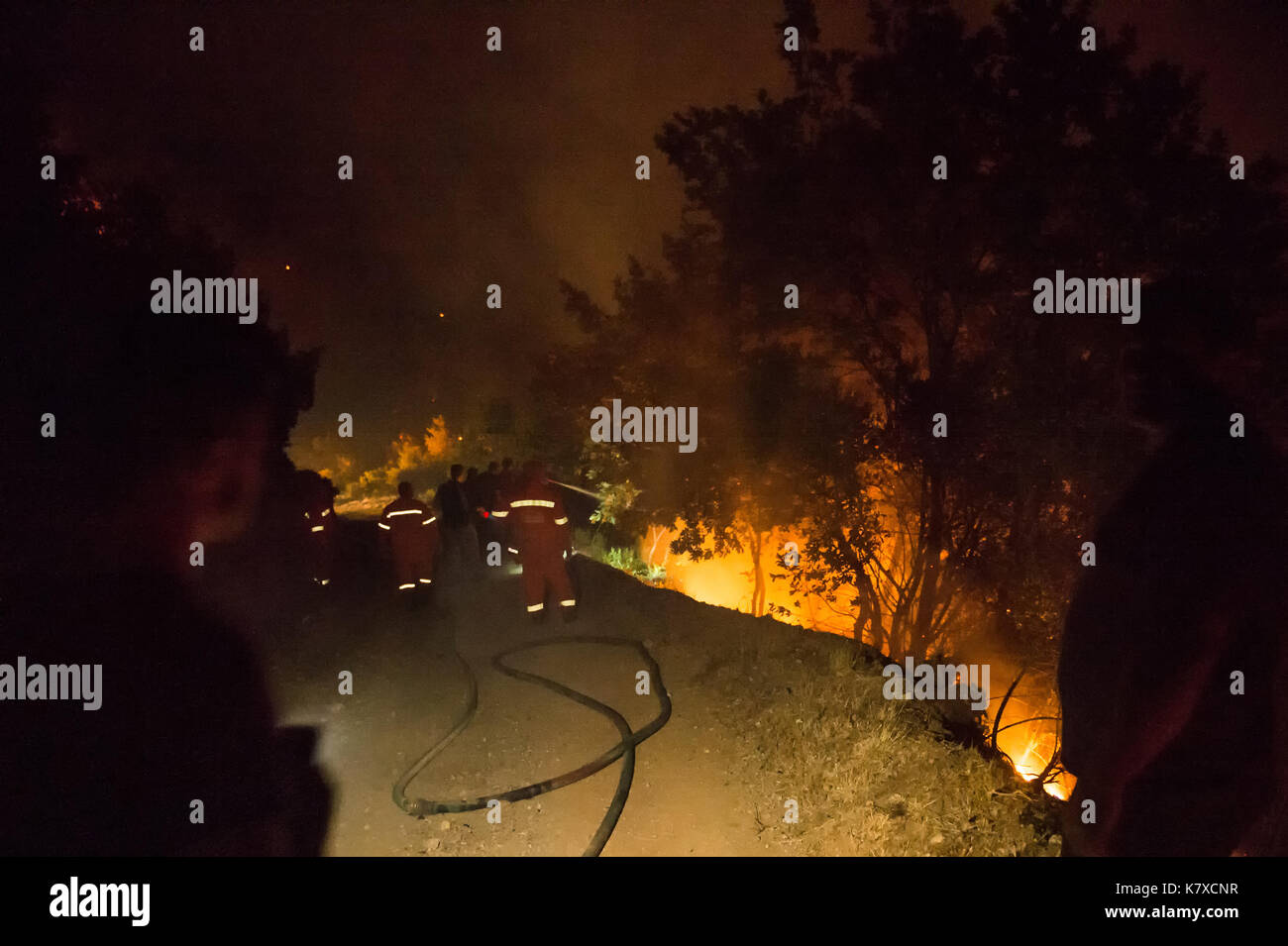 Fire destroy thousands of acres of woodland between the municipalities ...