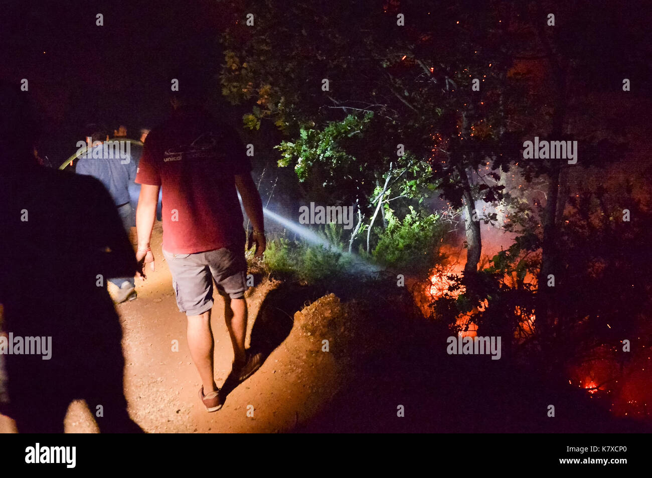 Fire destroy thousands of acres of woodland between the municipalities ...