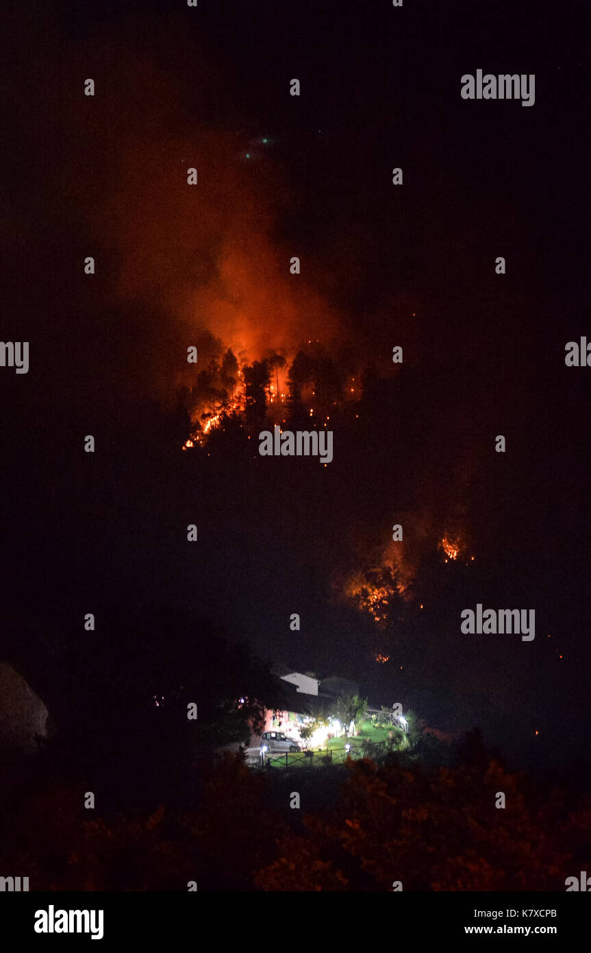 Fire destroy thousands of acres of woodland between the municipalities ...