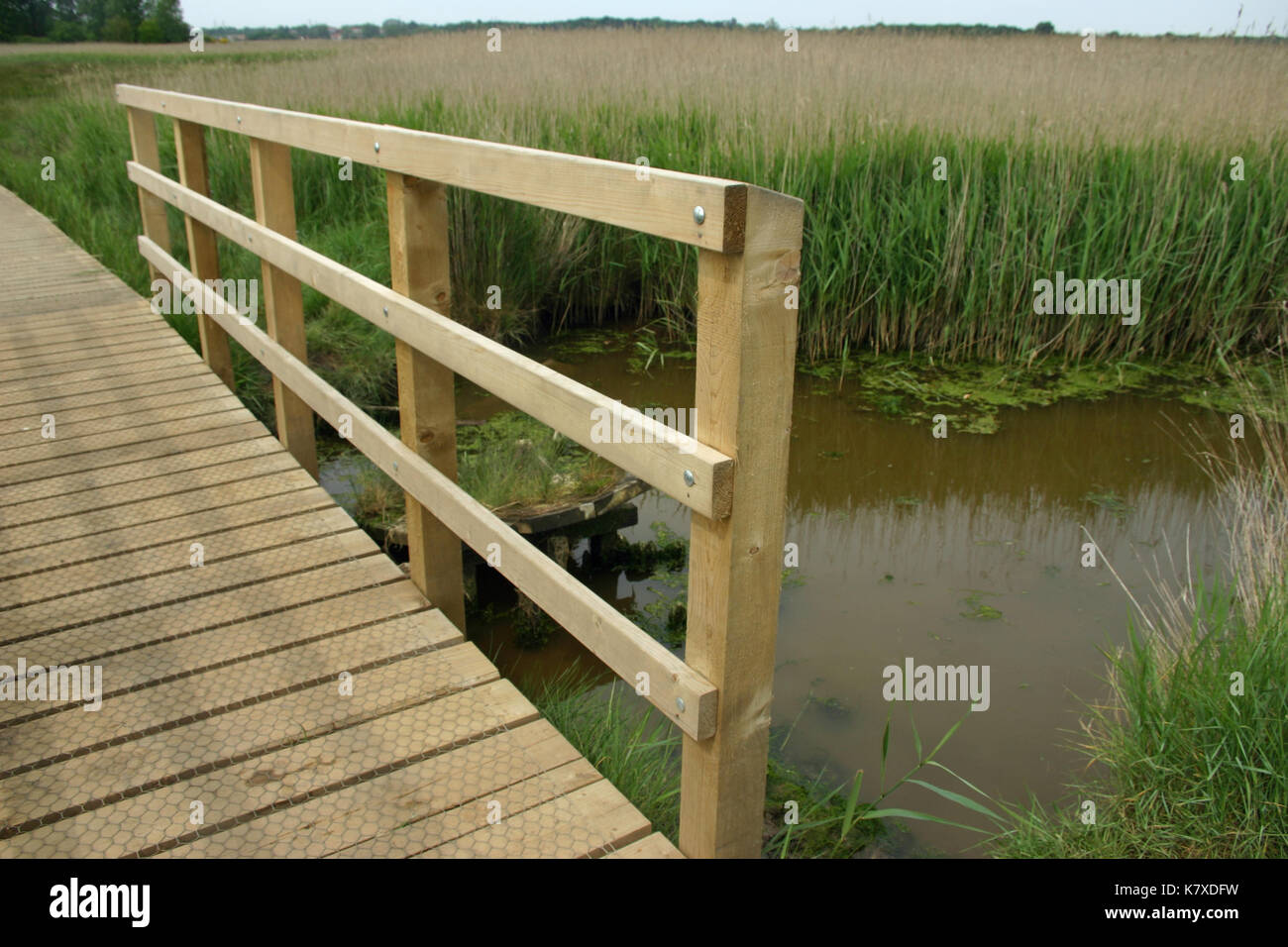 Bridge over stream and raised wooden plank boardwalk covered with wire ...