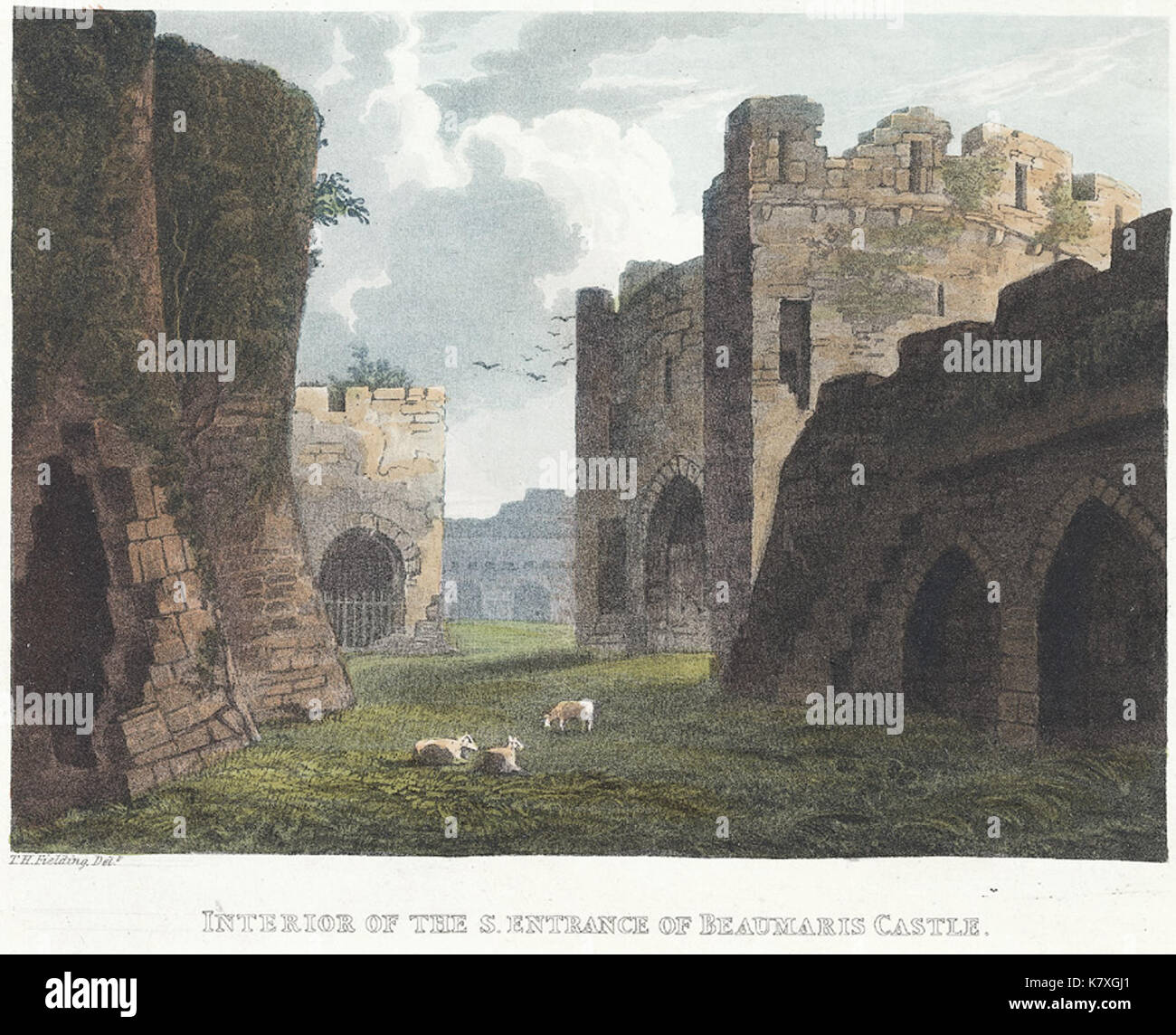Beaumaris castle interior hi-res stock photography and images - Alamy