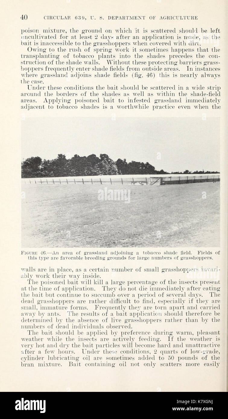 Insect pests of cigar type tobaccos in the Southern districts (Page 40 ...