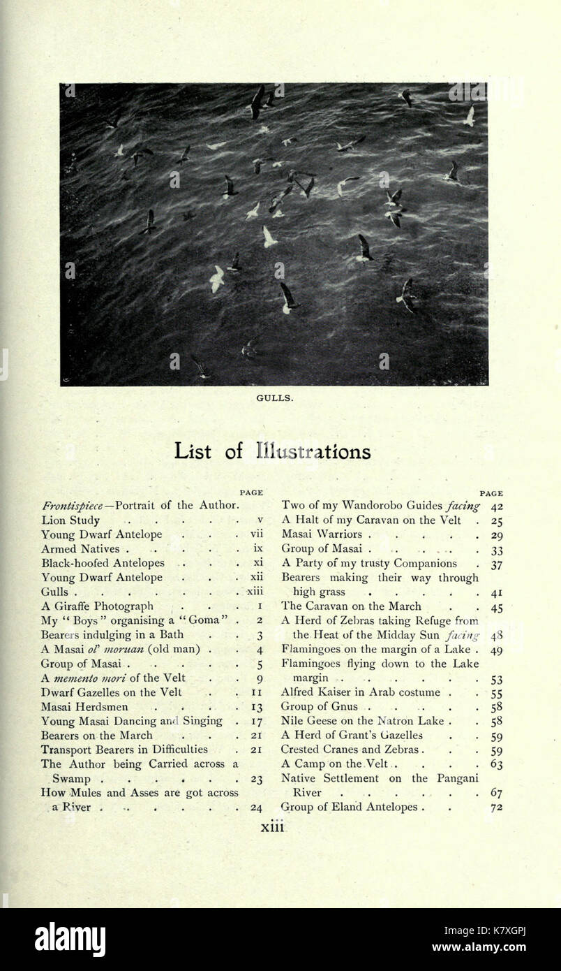 Africa exploration 1900s hi-res stock photography and images - Alamy