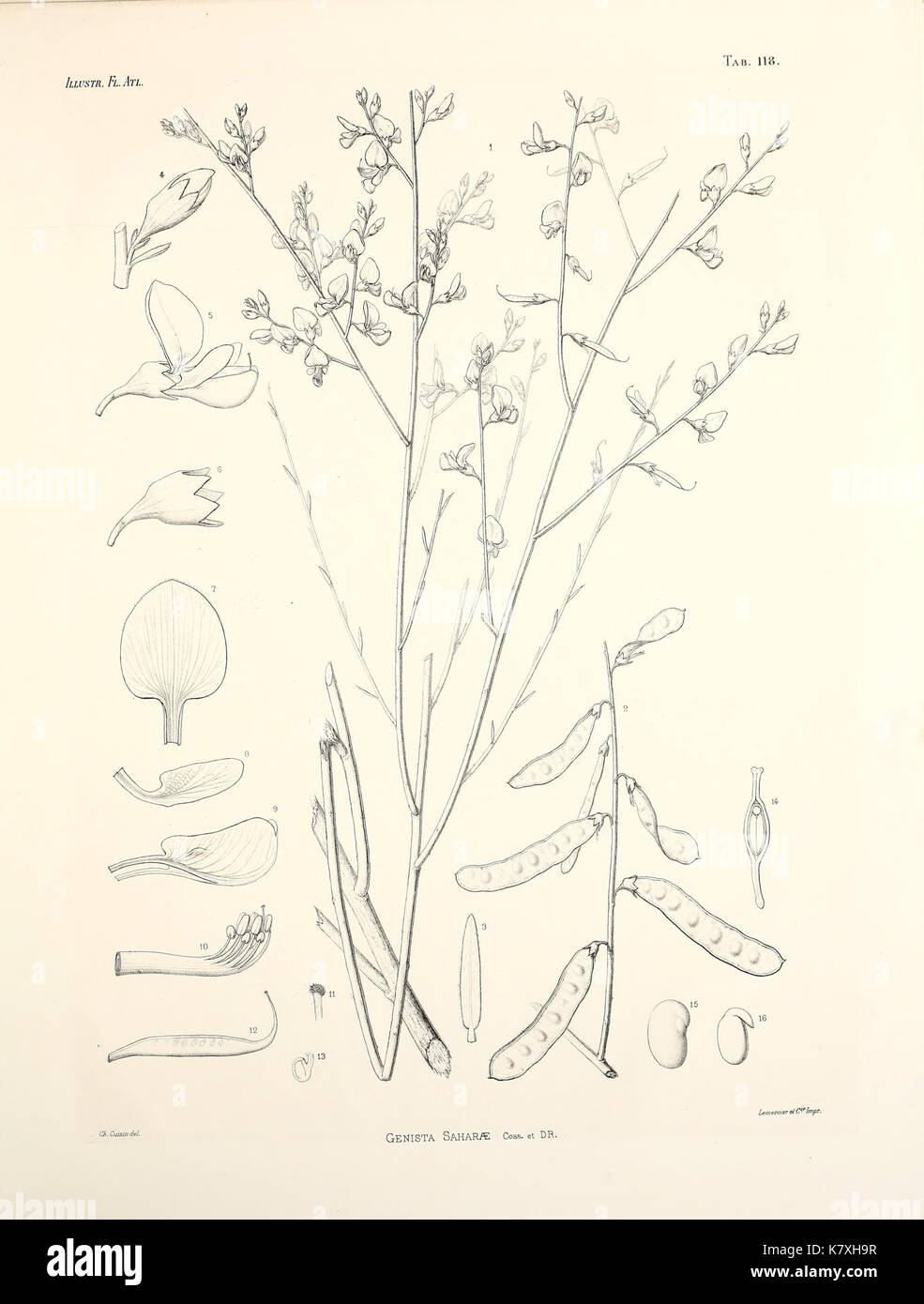 Tab 118 hi-res stock photography and images - Alamy